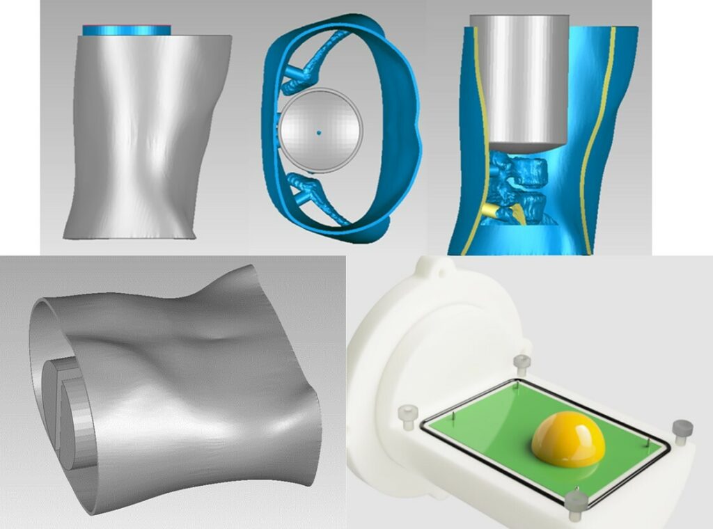 Spine Phantom - RTsafe